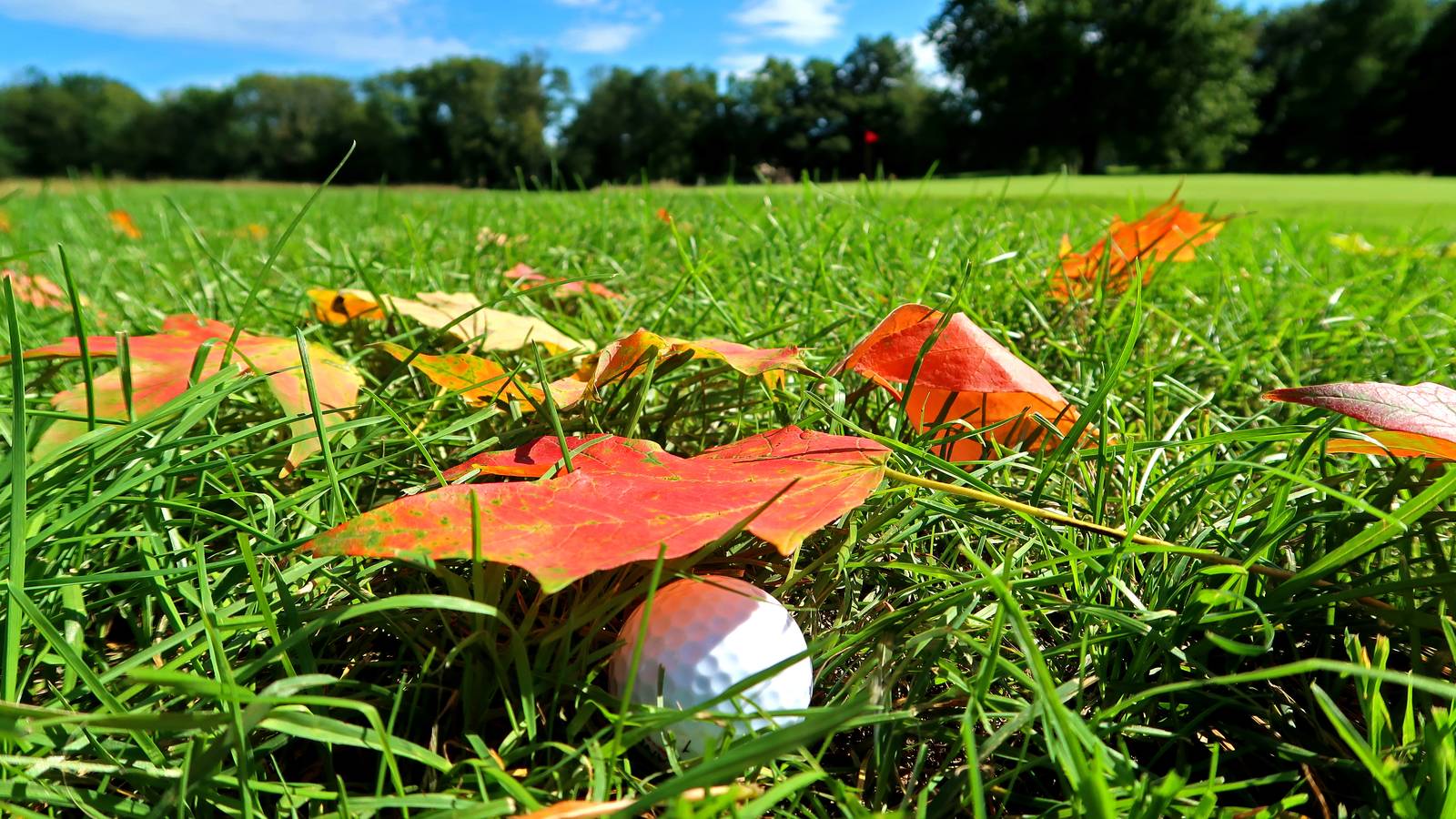 Fall Golf: 5 Things Every Golfer Should Know - Iowa Golf Association